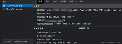 通过Flutter抓包分析下载图片失败的问题 wireshark抓包flutter CSDN博客