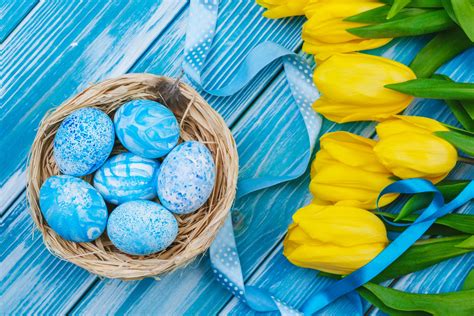 Yellow Flowers Plants Eggs Holiday Tulips Flowers Colorful