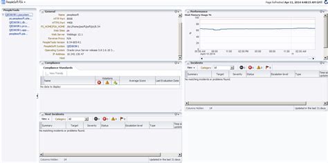 Understanding Peoplesoft Pia Targets