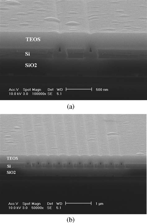 SEM Picture Of The Double Slot Waveguide And Slots Waveguide Array Download Scientific Diagram