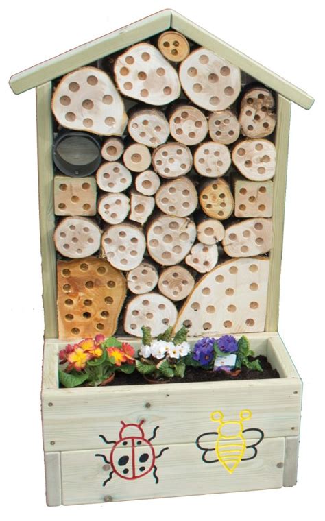 Bugs Life And Planter Creative Activity