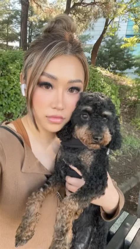 마이보이 푸들 길동이