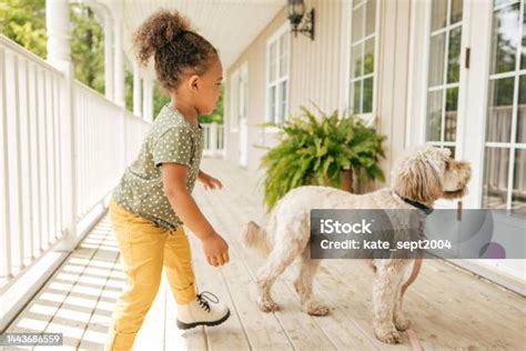 예산 목적지 휴일에 3 세대 가족 2 3 살에 대한 스톡 사진 및 기타 이미지 2 3 살 가족 개 Istock