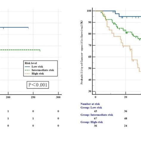 Kaplan Meier Estimates For Css Stratified By The Risk Level In The