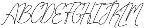 licht script slant otf 400 font script elegant what font is