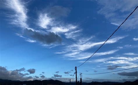 秋の楽しみ よしこ暮らし