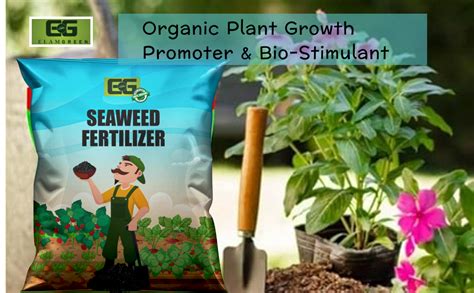 Elamgreen Organic Seaweed Plant Fertilizer Rich Seaweed Granules For