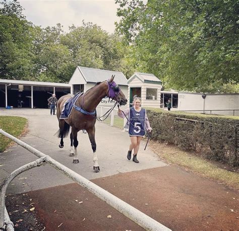 Amy Johnston Riding The Dream