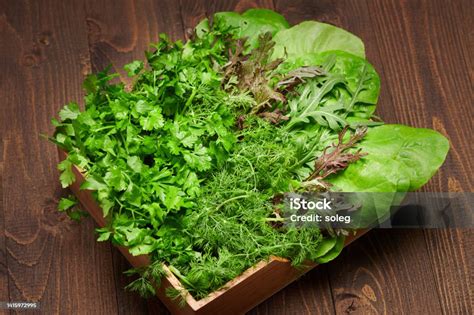 나무 상자에 녹색 딜 파슬리 샐러드 허브 및 기타 채소 어두운 나무 배경 신선한 야채와 건강 식품의 개념의 무리의 꼭대기 0명에 대한 스톡 사진 및 기타 이미지 Istock