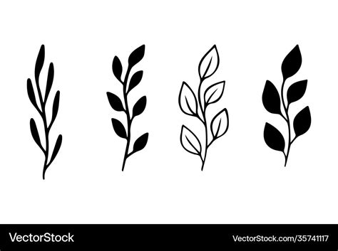 Plant Leaves Silhouettes Black Silhouette Vector Image