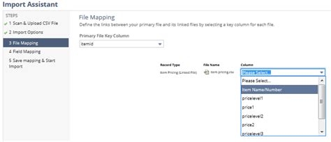 Sync Your Data From Snowflake To Netsuite Census
