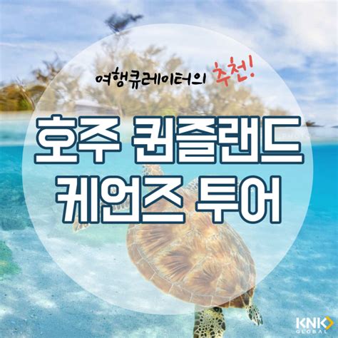여행큐레이터의 추천 호주 퀸즐랜드 케언즈 투어 네이버 블로그