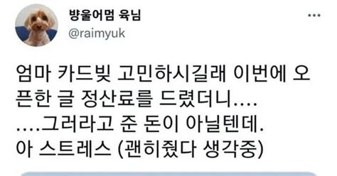 엄마 카드 빚 갚으라고 자신이 번 돈을 엄마에게 드린 딸