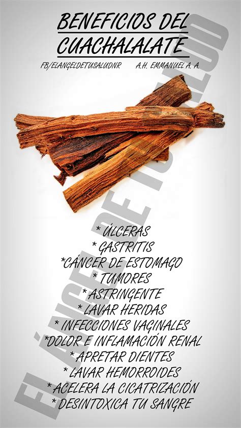 BENEFICIOS SALUD CUACHALALATE PLANTASMEDICINALES Healing Herbs