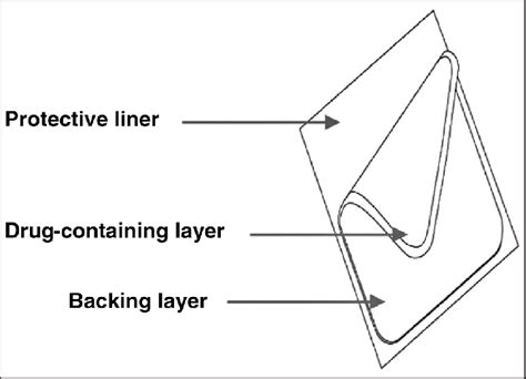 Schematic Of Fentanyl Transdermal Matrix System Download Scientific