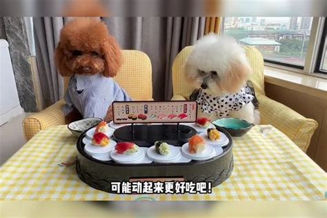 你看过吃霸王餐吃的这么理直气壮的吗