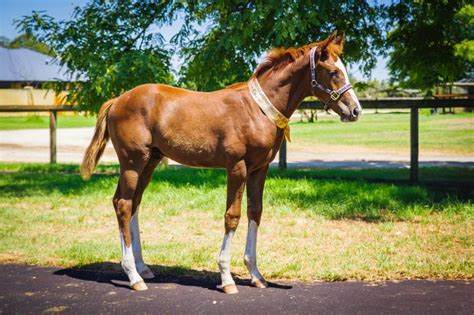 Very Rarely Do I Do A Non Work Related Post But I Am So Proud Of This