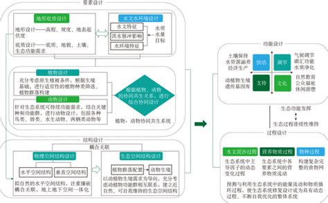 湿地生态系统修复研究进展 腾讯新闻