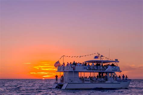 Private Cruise Naples Dolphin Watching Sunset Cruises Pure Naples