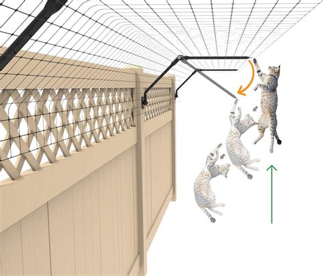 Diy Cat Fence Barrier At Enrique Schrom Blog