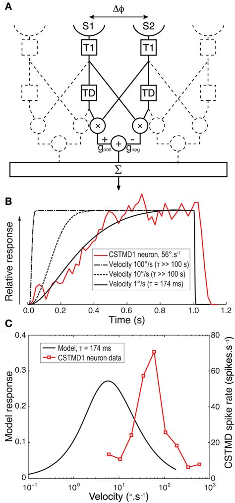 A A Block Diagram For Our Computational Model For An Emd Array For Download Scientific
