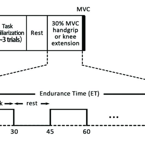 Experiment Protocol Download Scientific Diagram