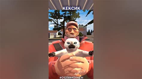 Солдат показывает котика озвучка Sfm Tf2 рек Shorts анимация Youtube