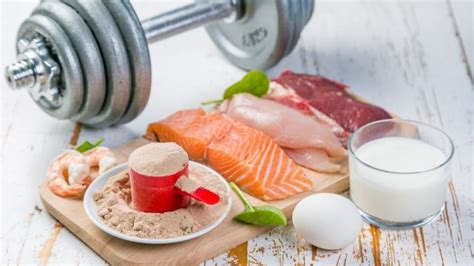 Greg Doucette Anabolic Cookbook Review Is It Worth The Money Free