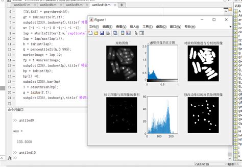 Matlab第二版（本科教学版）数字图像处理matlab第二版 Csdn博客