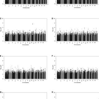 Manhattan Plots From The Genomewide Association Analysis Of The