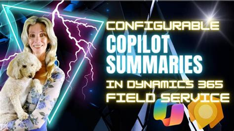 Dian Taylor 🇳🇱 🇺🇸 On Linkedin Configurable Copilot Summaries For D365