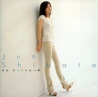 Jun Shibata Sigh Music Software Suruga Ya