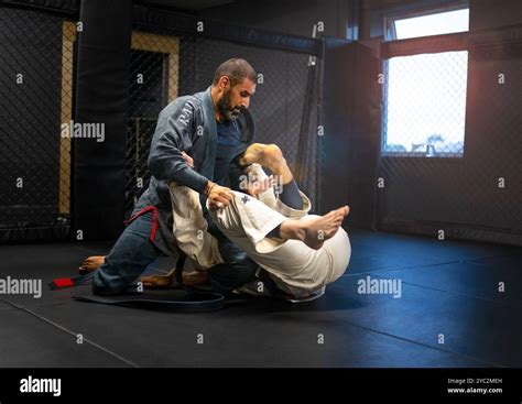 Brazilian Jiu Jitsu Black Belt Sparring With Blue Belt Bjj Stock