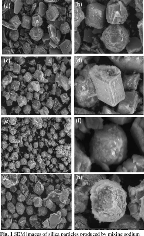 Figure 1 From The Effect Of Alcohol Solvents On Morphology Of Silica Particles Synthesized From