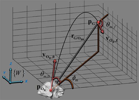 Projectile Motion Download Scientific Diagram