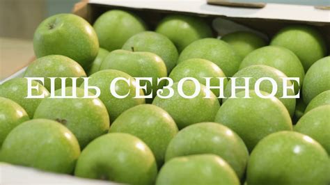Ешь Сезонное свежие фрукты и овощи с доставкой на дом Youtube