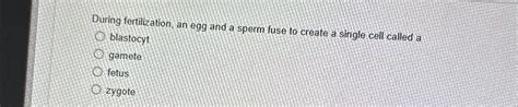 Solved During Fertilization An Egg And A Sperm Fuse To