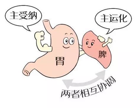 年终岁尾扫尘迎新宝贝积食也要清一清 宝妈天地 新闻中心 中国香港衍生 中国官网
