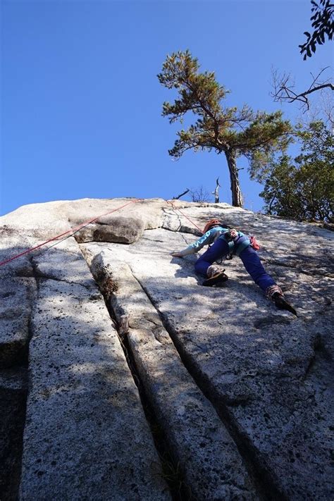 ヒミツの岩場で特訓 ★陰陽師★さんの比良山地・武奈ヶ岳・釈迦岳の活動データ Yamap ヤマップ