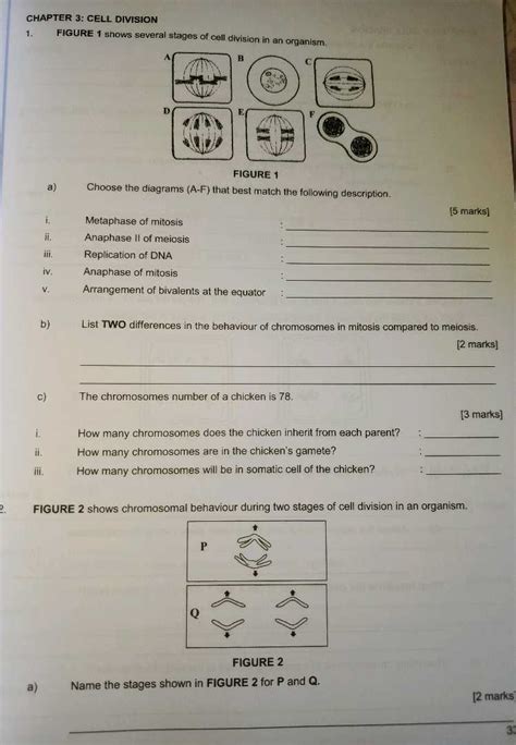 CHAPTER 3 CELL DIVISION 1 FIGURE 1 Shows StudyX