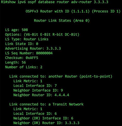 ospfv3 how to read ipv6 s ospf database network fun times