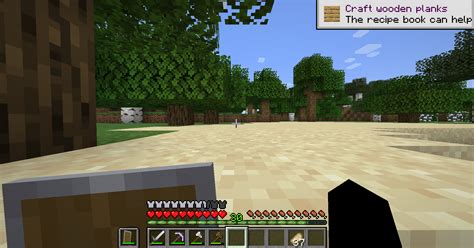 Minecraft Bug R Minecraft