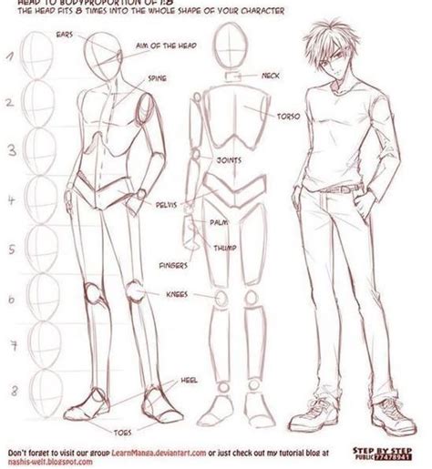 Artworks And Tutorials On Instagram Short People Only Need 6 Heads