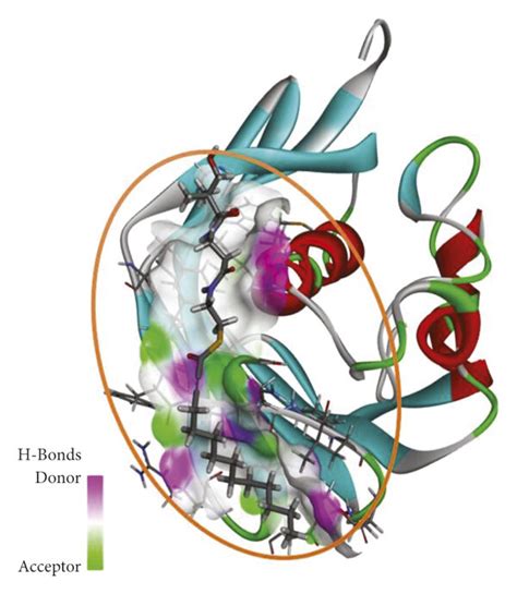 Graphical Representation Of Molecular Docked Complex Of Download