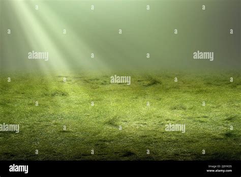 Green Grass With Sunlight Background Stock Photo Alamy