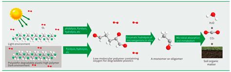 Polymers Free Full Text Study On Rapid Detection Method For