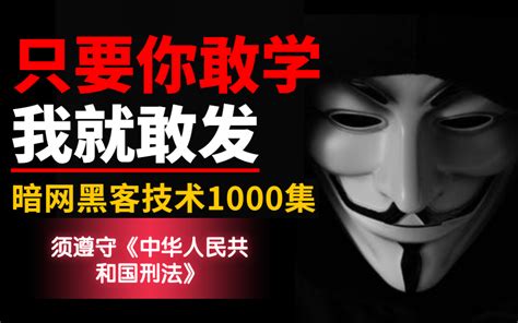 学不会我退出网安圈！暗网黑客教程全套1000集都没人看！黑客技术渗透测试web安全零基础漏洞挖掘 蚁景网络安全程序员 蚁景网络安全程序员 哔哩哔哩视频