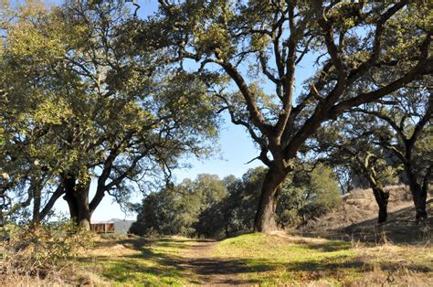 Sonoma County Regional Parks