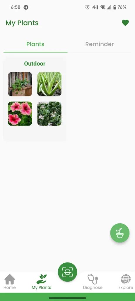 Best Plant Identification Apps For Android To Manage Plants 2024