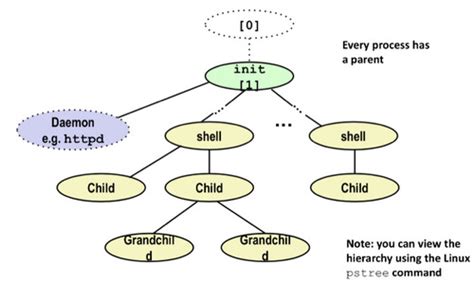 Processes Flashcards Quizlet
